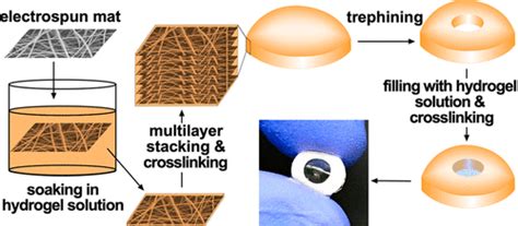 Acs Applied Bio Materials Acs Publications