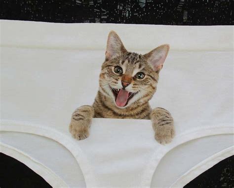 Cat Underwear Cat Panties Pussycat Panties Kitty Panties Etsy