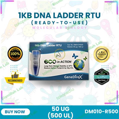 Jual 1 Kb Dna Ladder Rtu Ready To Use 100 App Kab Bogor