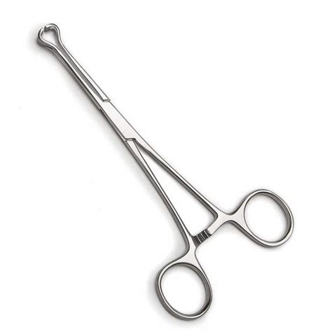 Stainless Steel Polished 6 Inch Babcock Forceps At Rs 315 Piece In New