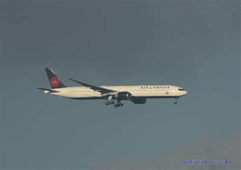 チュウヒ 飛行機 アッチャンの鳥見
