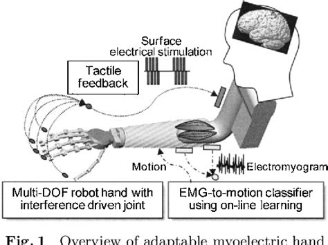 Table 1 From Evaluation Of Motor Recovery By Using Adaptive Myoelectric Hand Semantic Scholar