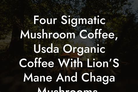Four Sigmatic Mushroom Coffee Usda Organic Coffee With Lions Mane And
