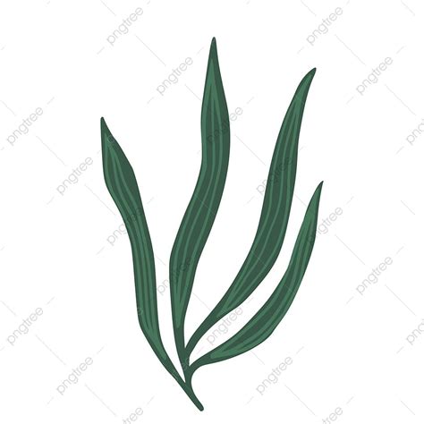手繪帶葉子的樹枝 隔離的 樹芽發芽 自然向量圖案素材免費下載，png，eps和ai素材下載 Pngtree
