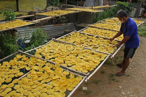 PRODUKSI KERUPUK BERBAHAN UBI KAYU ANTARA Foto