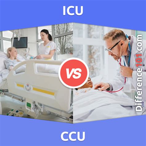 Icu Vs Ccu Key Differences Description And Designated Difference