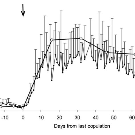 Profiles Of Fecal Progestagen And Serum Progesterone Concentrations