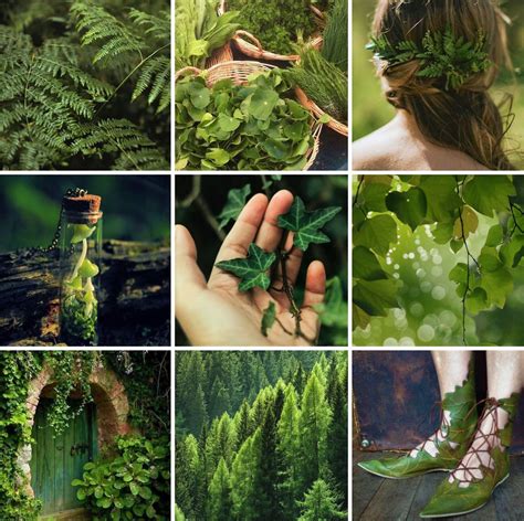 Fern The Green Fairy Moodboard Mood Board Inspiration Mood Board
