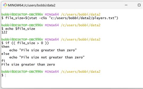 Bash How To Check If File Size Is Greater Than Zero Collecting Wisdom