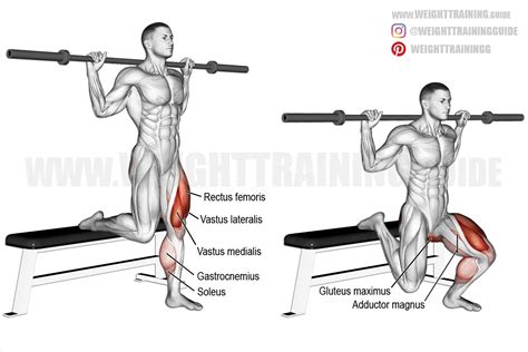 Barbell Bulgarian Split Squat Instructions And Video Weight Training