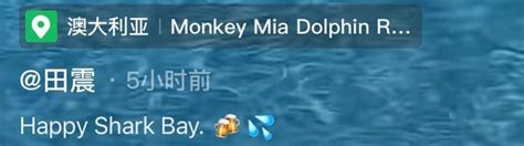 歌坛天后田震澳洲放飞自我，海边站车顶太危险，皮肤黝黑认不出