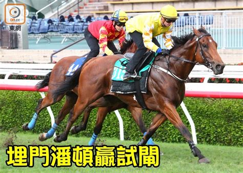 【獨門秘技】潘頓唔放手要交代