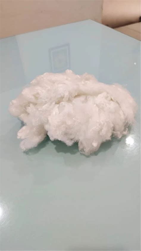 Raw Micro Polyester Fiber Jacket Recycled 15dx18mm At ₹ 118kg In Panipat