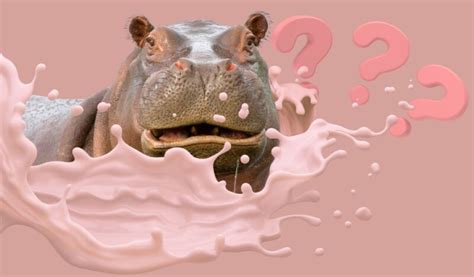 Rare Pink Hippo