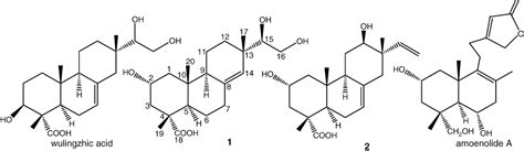 Trogopterus Xanthipes Semantic Scholar