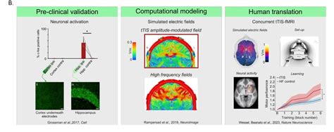 Transcranial Temporal Interference Stimulation Enables Focal Deep Brain