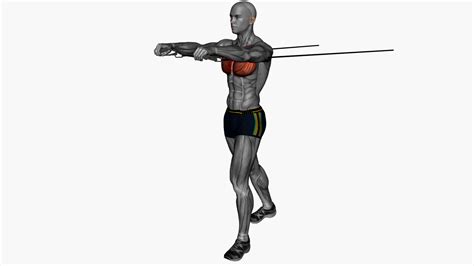 Master The Chest Press Front Resistance Band Exercise A Step By Step