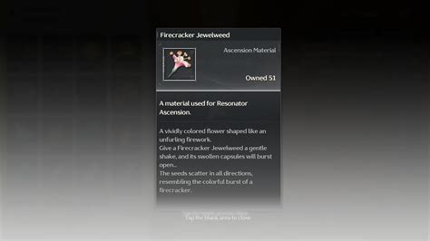 Wuthering Waves Phoebe Ascension Materials