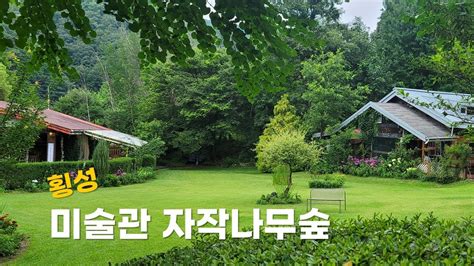 횡성 미술관 자작나무숲 ㅣ 미술관이 들려주는 이야기 Youtube