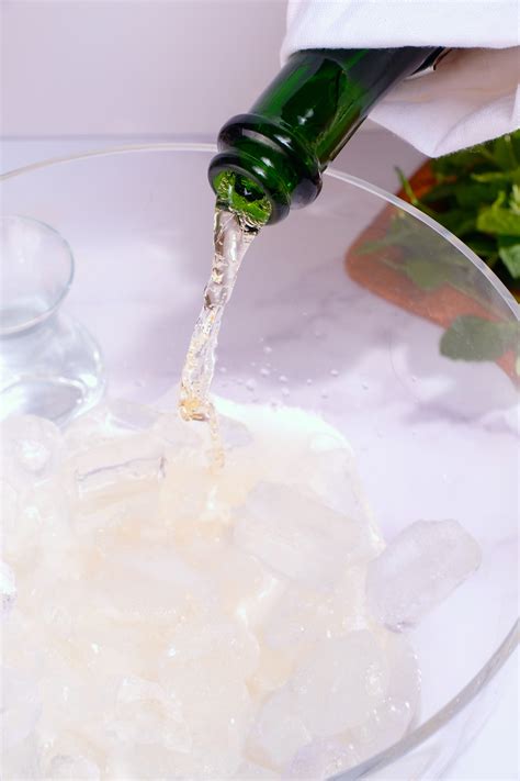 Cranberry Champagne Party Punch Meatless Makeovers