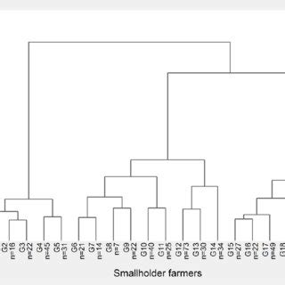 Dendrogram Resulting From Ward S Method Of Cluster Analysis Using Data