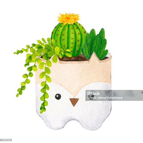 선인장과 다육 식물은 귀여운 올빼미의 형태로 세라믹 냄비에 담겨 있습니다 녹색 실내 식물입니다 보헤미안 스칸디나비아 스타일
