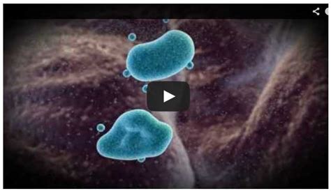 Exosome Isolation Exosome RNA