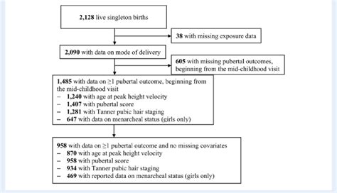 Flowchart Of Sample In A Study Of Association Of Mode Of Delivery With