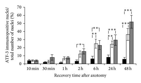 Atf 3 Is Upregulated In Sciatic Nerve Schwann Cells Following Axotomy Download Scientific
