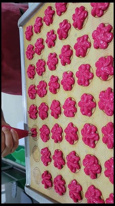 벚꽃마카롱 🌸 꽃마카롱 Flowers Macaroncherry Blossoms Youtube