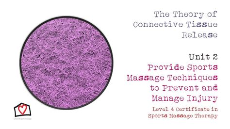This Looks Good The Theory Of Connective Tissue Massagemyofascial