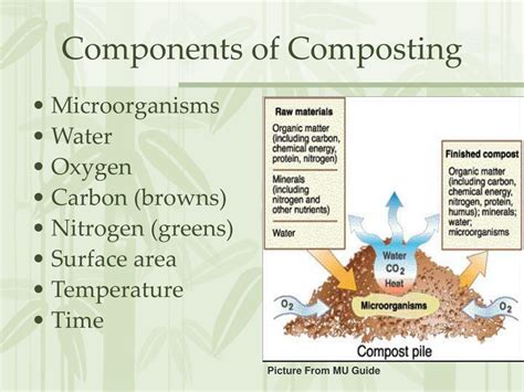 Ppt Composting And Other Soil Building Techniques Powerpoint Presentation Id1181411