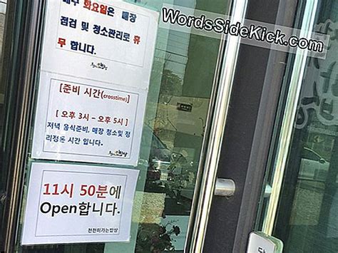 35 000 년 전의 알몸 여성에 대한 집착 2025 역사