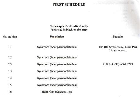 TREE PRESERVATION ORDERS SURGERY TPOs LUMBERJACKS FELLING REMOVAL NAZI PARTY POLITICS