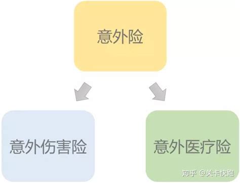 跟身体息息相关医疗险 重疾险 意外险和寿险有什么区别 知乎