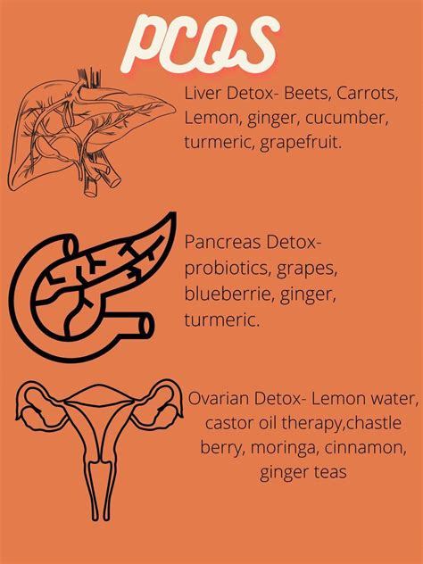 Polycystic Ovary Syndrome Pcos Artofit