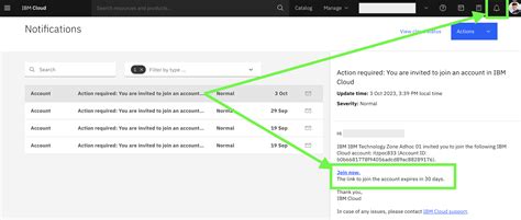 How To Accept An Ibm Cloud Invite
