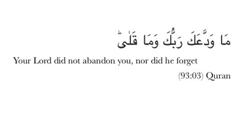 Ayat From The Quran Your Lord Did Not Abandon You