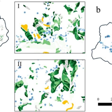 Emergence Of Spatial Patterns Of A Parcel Level Cropland Abandonment Download Scientific