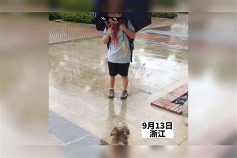 小孩儿分小狗香肠吃 狗狗我牙缝都没塞上 香肠 牙缝 狗狗