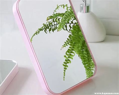 怎么看镜子有没有摄像头？什么样的镜子是有摄像头的 海淘族