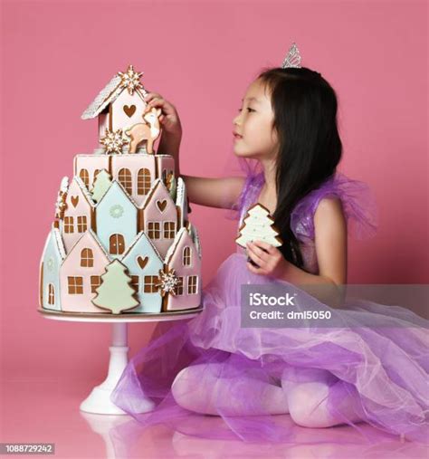 왕관과 생강 쿠키 케이크 생일 축 하에 핑크와 보라색 드레스에 작은 아시아 소녀 갈색에 대한 스톡 사진 및 기타 이미지 갈색