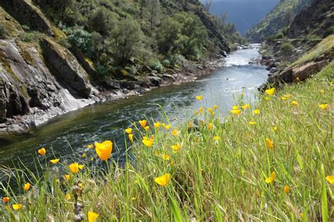 Hikes With Rivers Jans Jaunts And Jabberings