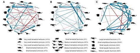 Partial Correlation Networks Before And After The End Cretaceous Mass Download Scientific