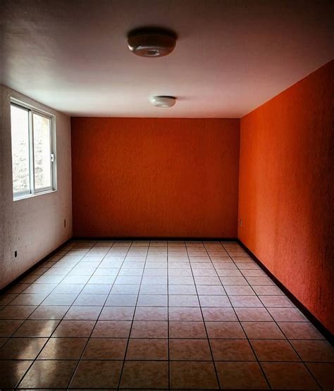Casa desnuda Heroísmo Agonizante 101 Sólo para principiantes