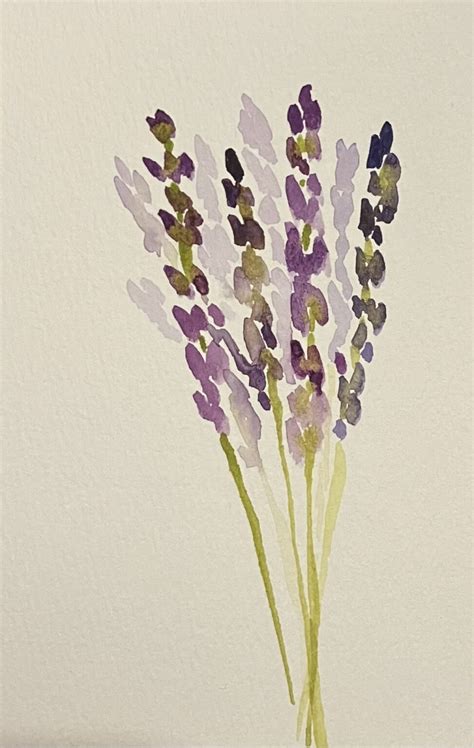 Spring Flowers Quentin Dodd