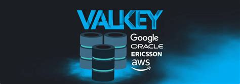 Valkey Vs Redis：全方位对比指南 系统极客
