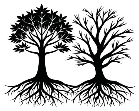 Black Tree With Roots Silhouette Stock Illustration 41924962 Vector Art At Vecteezy