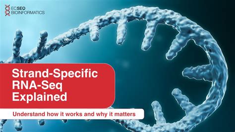 Ecseq Bioinformatics Gmbh On Linkedin Ngs Bioinformatics