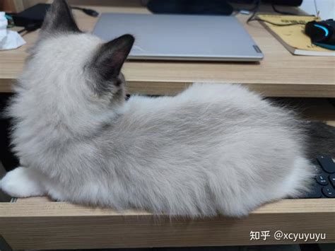 使用numba进行cuda python编程 知乎